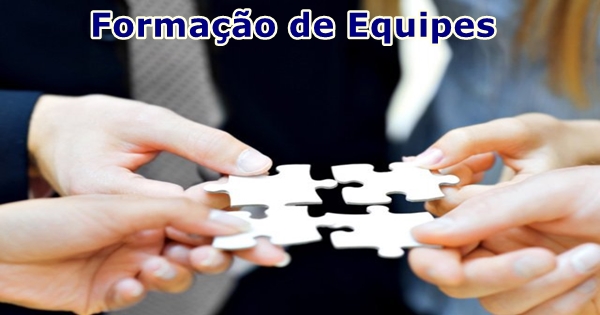 Formação de Equipes - Portogente